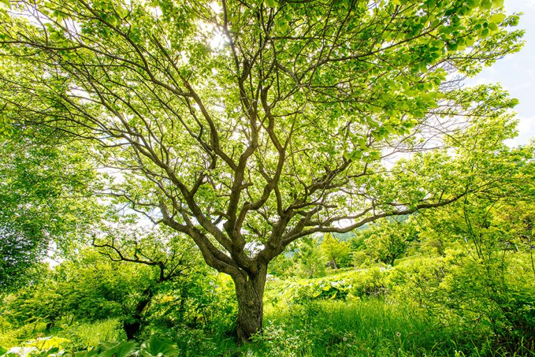 ABOUT US | 創和プロジェクト株式会社